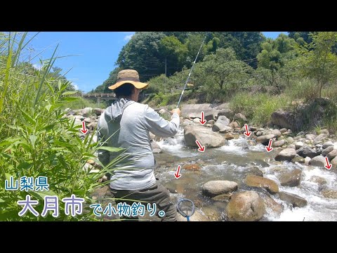 いたる場所に〇〇〇が！ 山梨県 大月市で小物釣り。 | 全国釣り動画・SNSまとめサイト